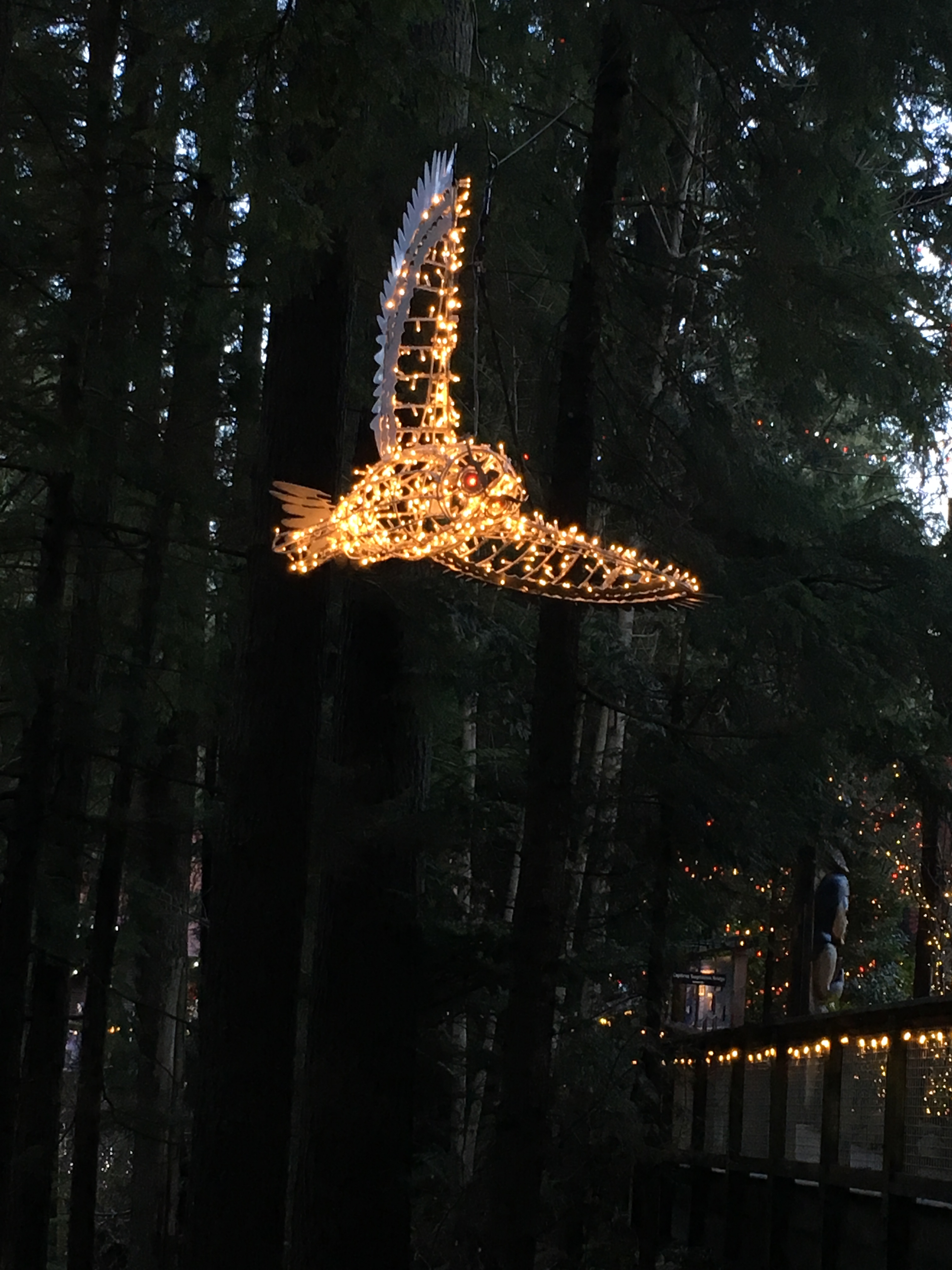 Capilano Suspension Bridge - At Night - Travel Rich, Die Broke